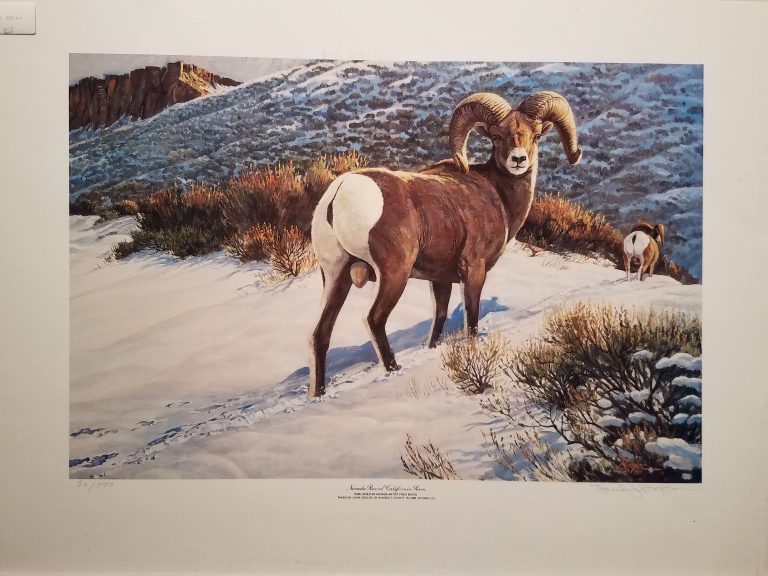 Nevada Record Book California Ram by Fred Boyce | Abreu Gallery