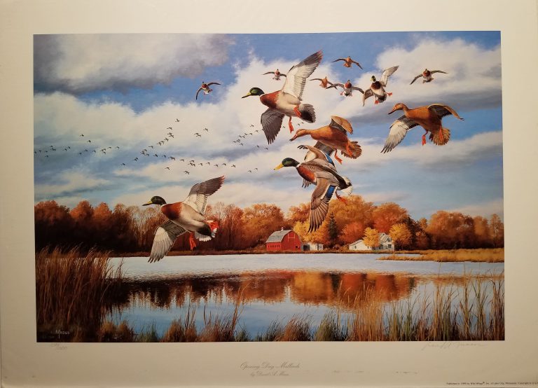 Opening Day Mallards by David Maass | Abreu Gallery